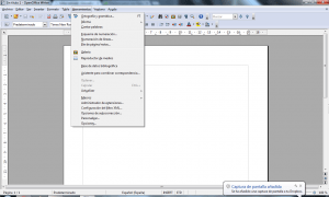 Primeros pasos en OpenOffice Writer
